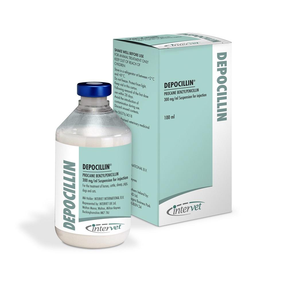MSD Animal Health Hub: Depocillin® 300 mg/ml Suspension for injection
