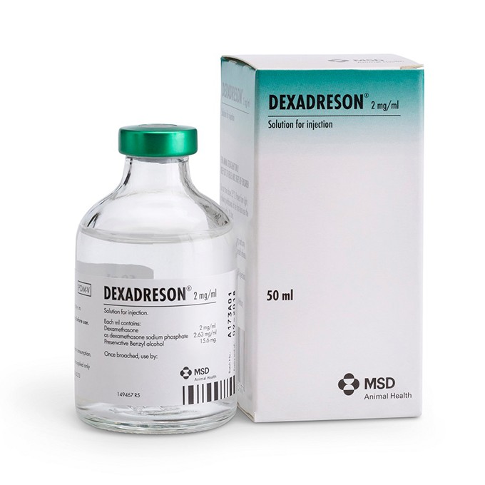 Dexadreson® 2 mg/ml solution for injection | MSD Animal Health HUB
