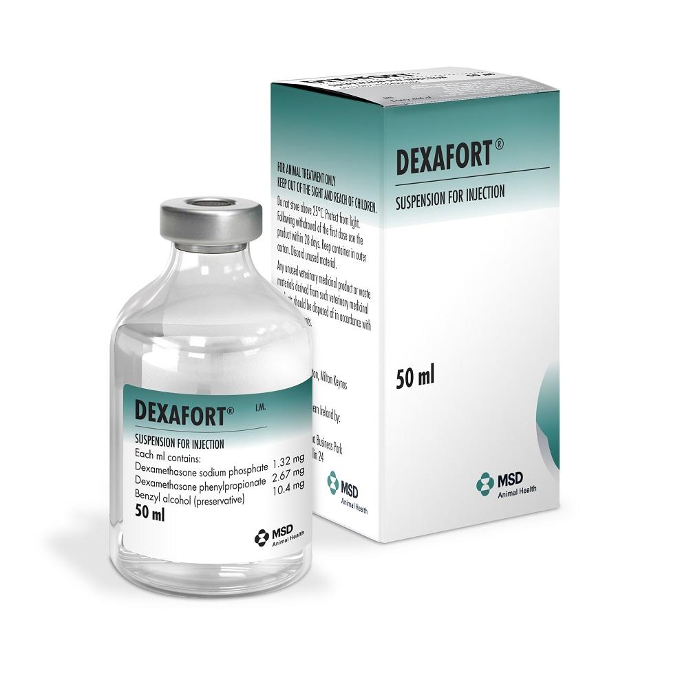 MSD Animal Health Hub: Dexafort® suspension for injection