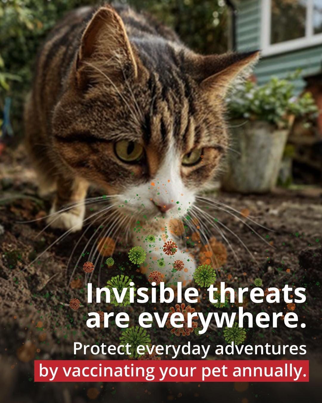 National Pet Vaccination Month 2026 | MSD Animal Health HUB