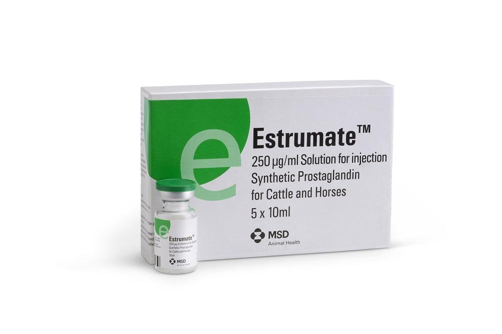 MSD Animal Health Hub: Estrumate® 250 µg/ml solution for injection