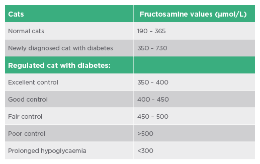 Diabetes in Cats: Monitoring and Controlling