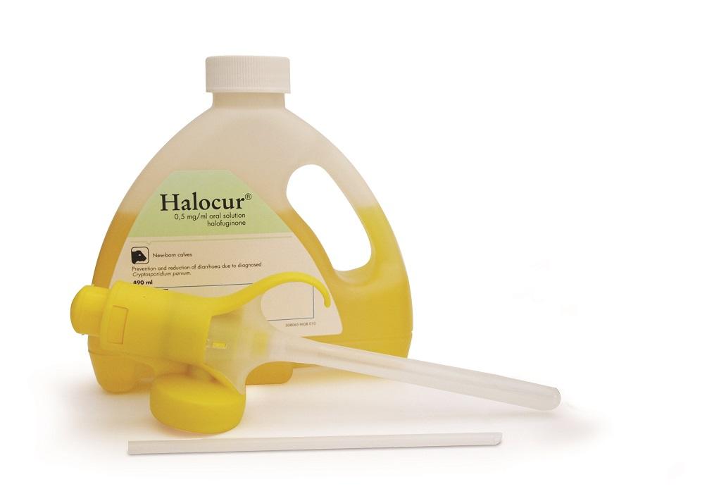 MSD Animal Health Hub: Halocur® 0.5 mg/ml oral solution for calves