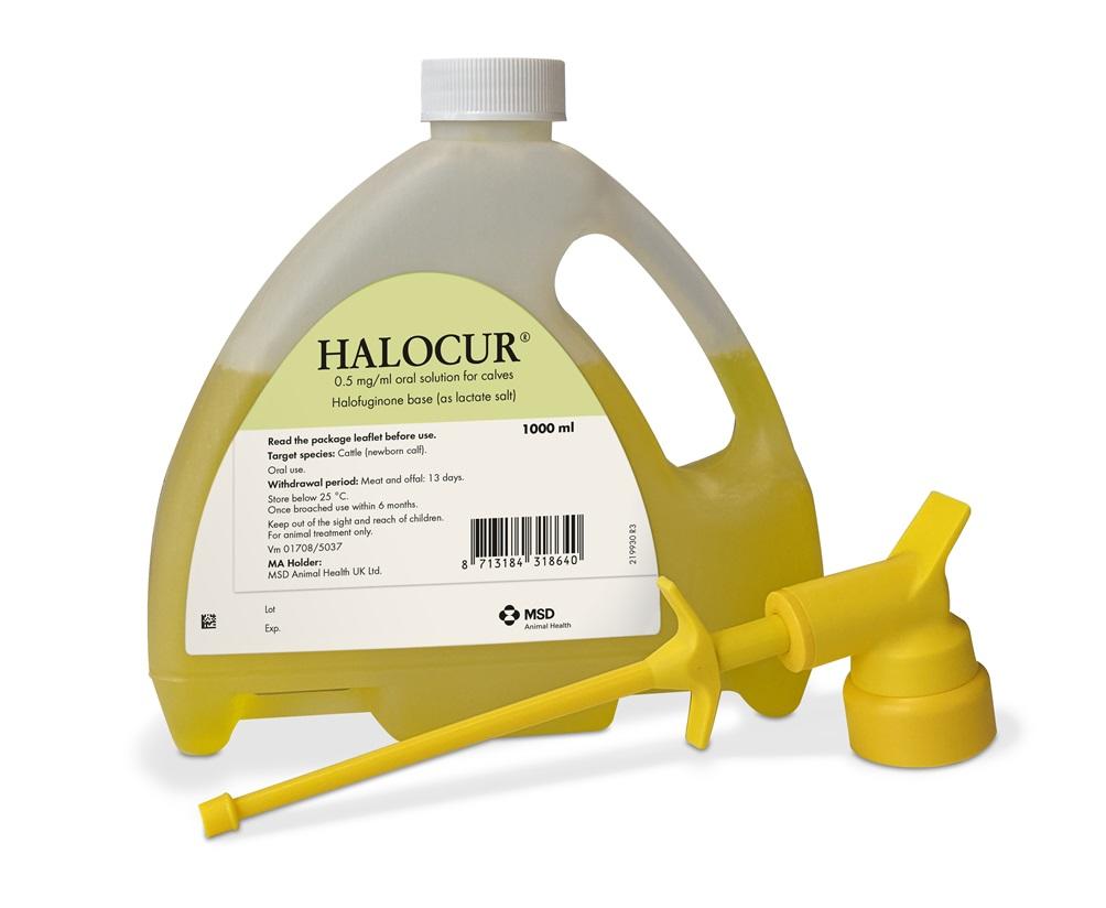 Halocur® 0.5 mg/ml oral solution for calves | MSD Animal Health HUB