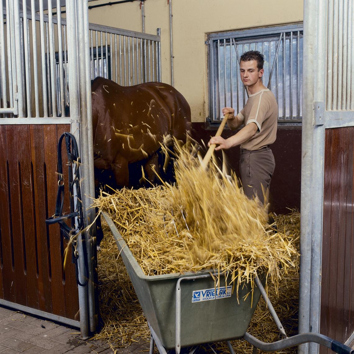 Does my horse need stabling in the winter?