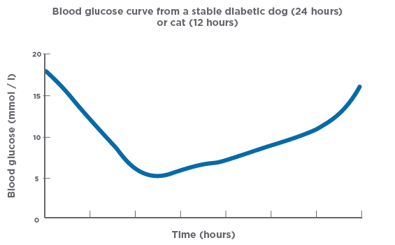 Diabetes in Cats: Monitoring and Controlling
