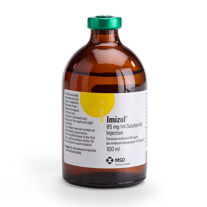 MSD Animal Health Hub: Imizol® 85 mg/ml Solution for Injection
