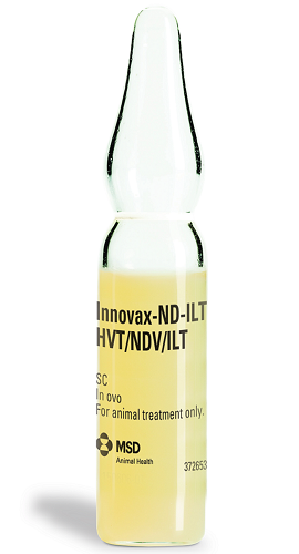 Innovax®-ND-ILT concentrate and solvent for suspension for injection ...