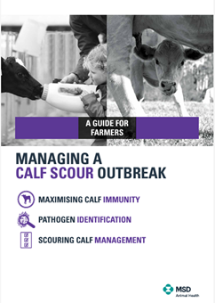 Calf Scour Causes, Costs and Prevention | MSD Animal Health HUB