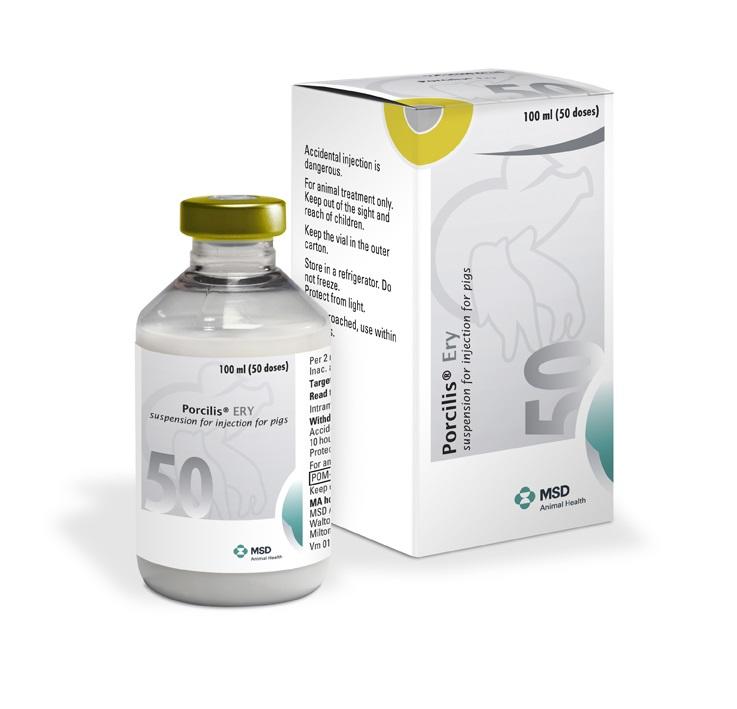 Porcilis® Ery | MSD Animal Health HUB