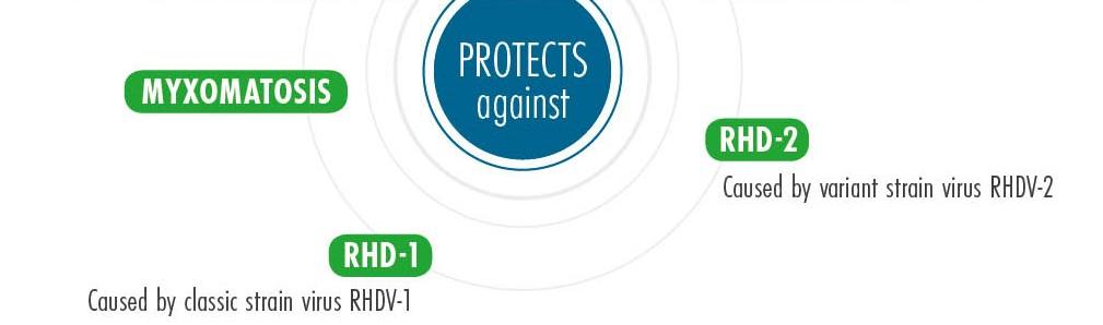 A unique vectored vaccine | MSD Animal Health HUB