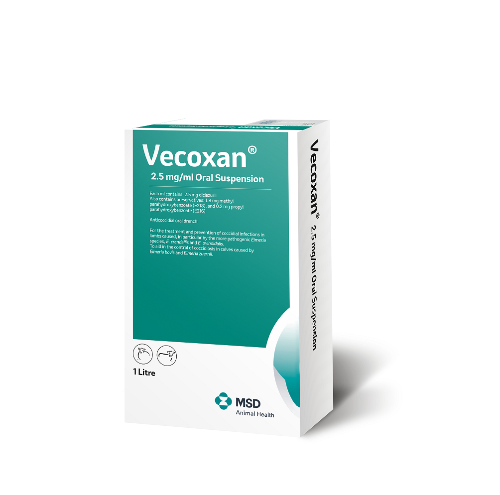 Vecoxan® 2.5 mg/ml Oral Suspension | MSD Animal Health HUB