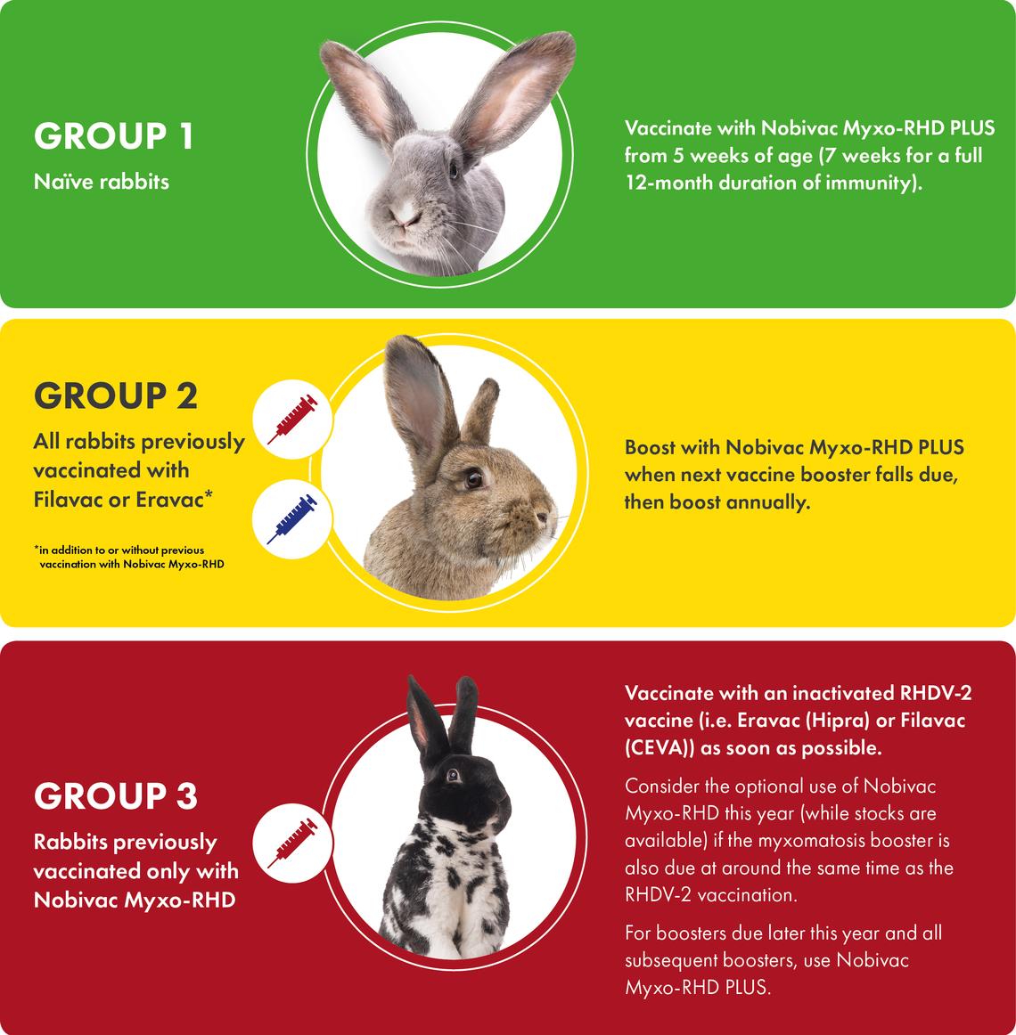 MSD Animal Health Hub: Nobivac® Myxo-RHD PLUS Q & A