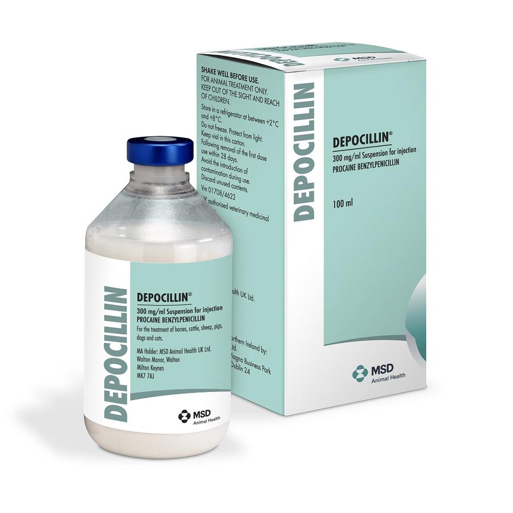 Depocillin® 300 mg/ml Suspension for injection | MSD Animal Health HUB
