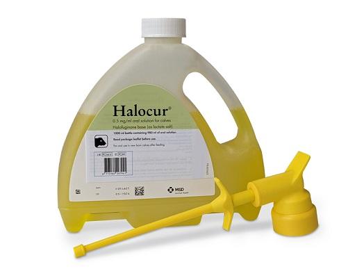 MSD Animal Health Hub: Halocur® 0.5 mg/ml oral solution for calves