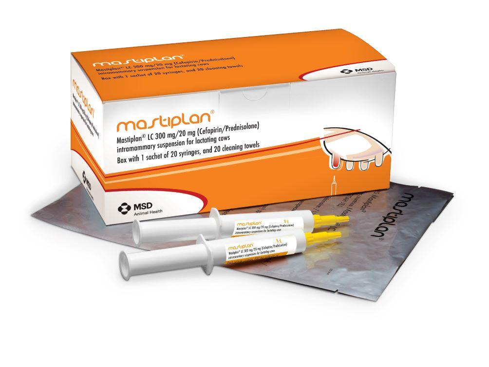 Mastiplan® LC, 300 mg/20 mg (Cefapirin/Prednisolone), intramammary ...