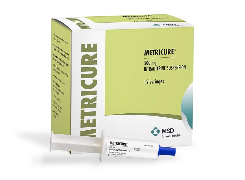 Metricure® 500 mg Intrauterine suspension | MSD Animal Health HUB