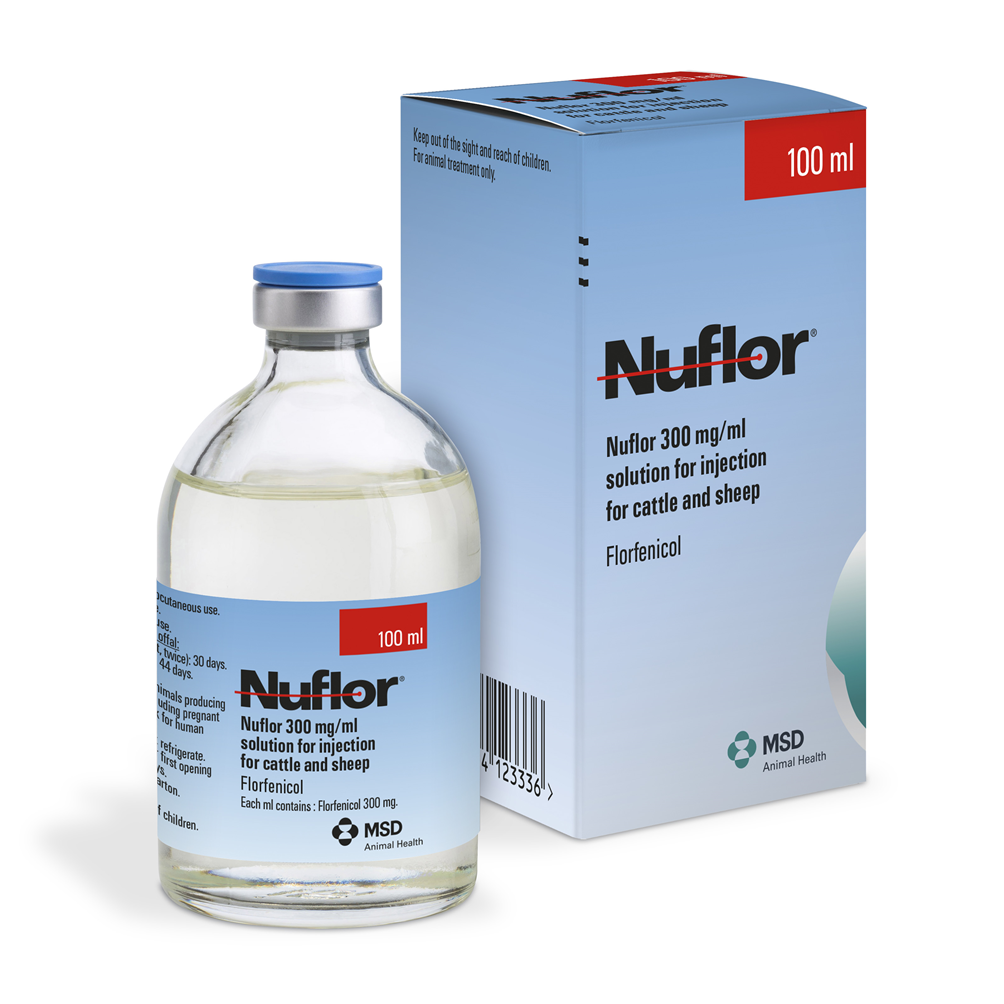 Nuflor® 300 mg/ml solution for injection for cattle and sheep | MSD ...