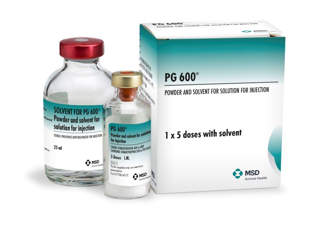 PG 600® Powder and solvent for solution for injection | MSD Animal ...