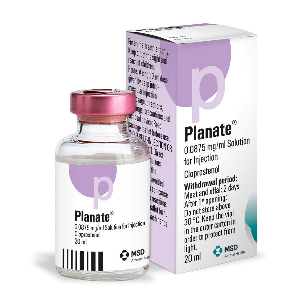 Planate™ 0.0875 mg/ml Solution for injection | MSD Animal Health HUB