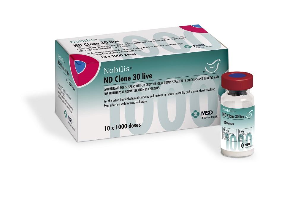 MSD Animal Health Hub: Nobilis® ND Clone 30 live