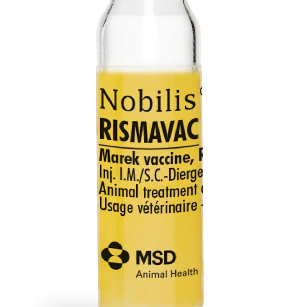 Nobilis® Rismavac | MSD Animal Health HUB