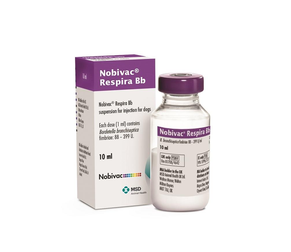 Introducing Nobivac® Respira Bb | MSD Animal Health HUB
