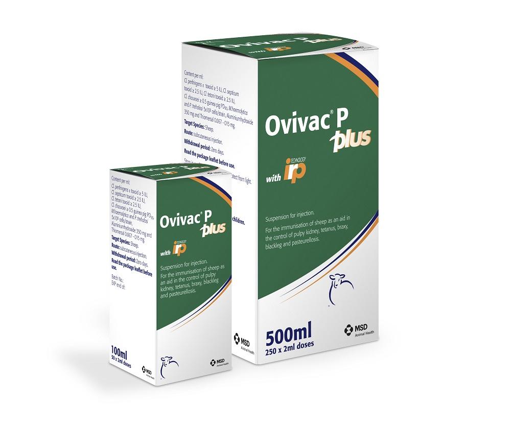 Ovivac® P Plus suspension for injection for sheep | MSD Animal Health HUB