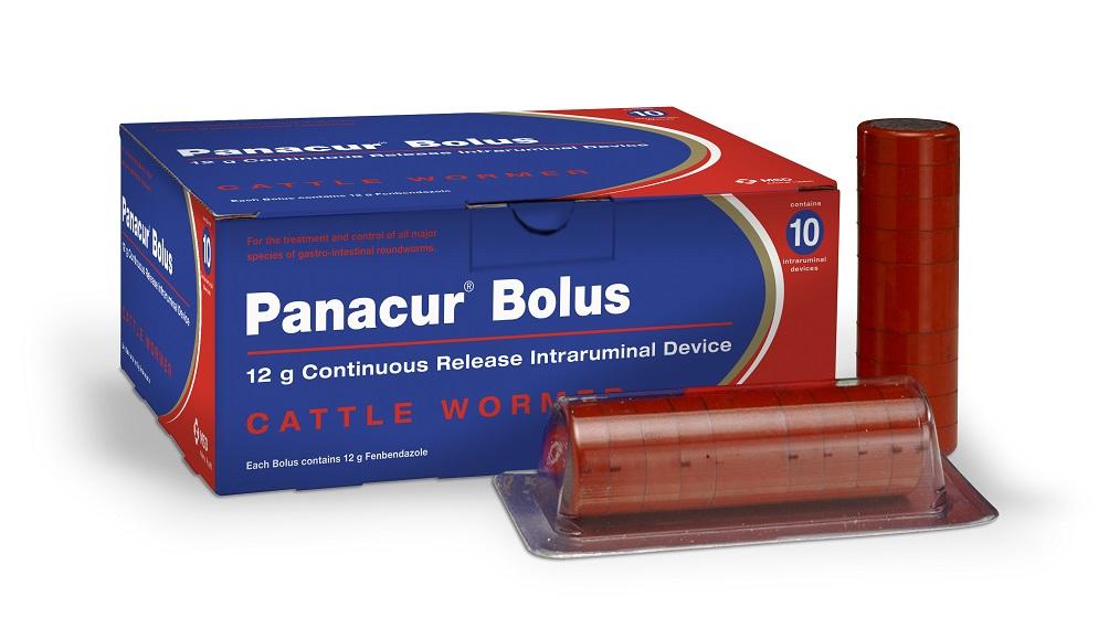 Panacur® Bolus 12 g, Continuous Release Intraruminal Device | MSD ...