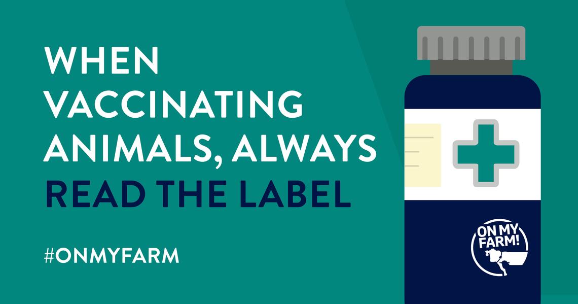 Vaccination | MSD Animal Health HUB