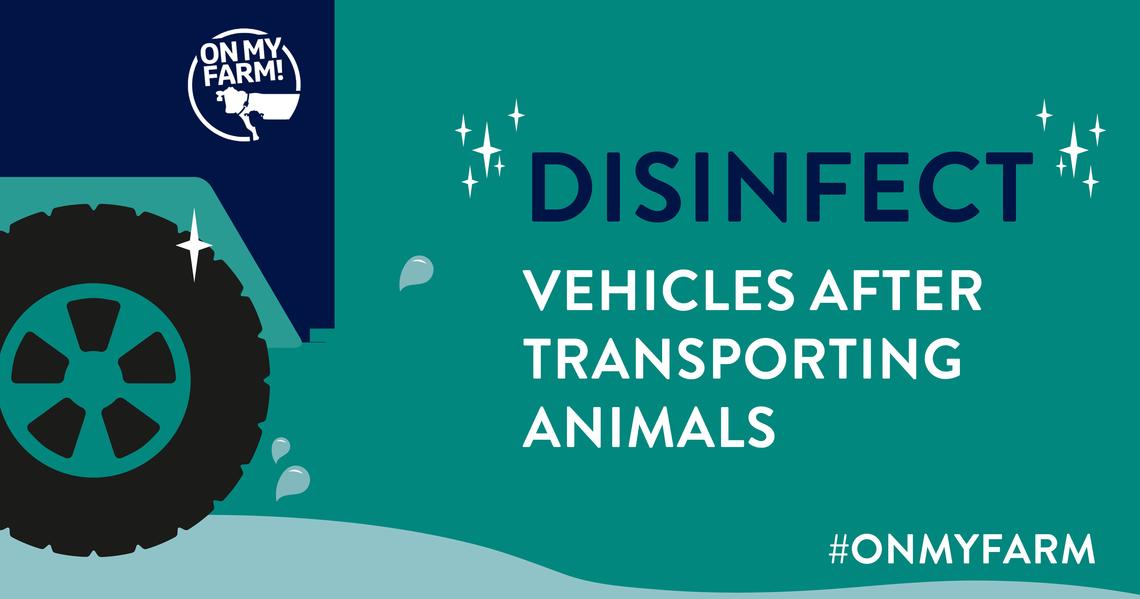 Biosecurity | MSD Animal Health HUB