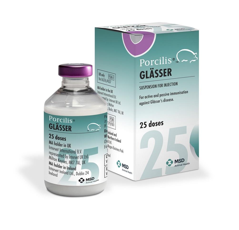 MSD Animal Health Hub: Porcilis® Glässer Suspension for injection for pigs