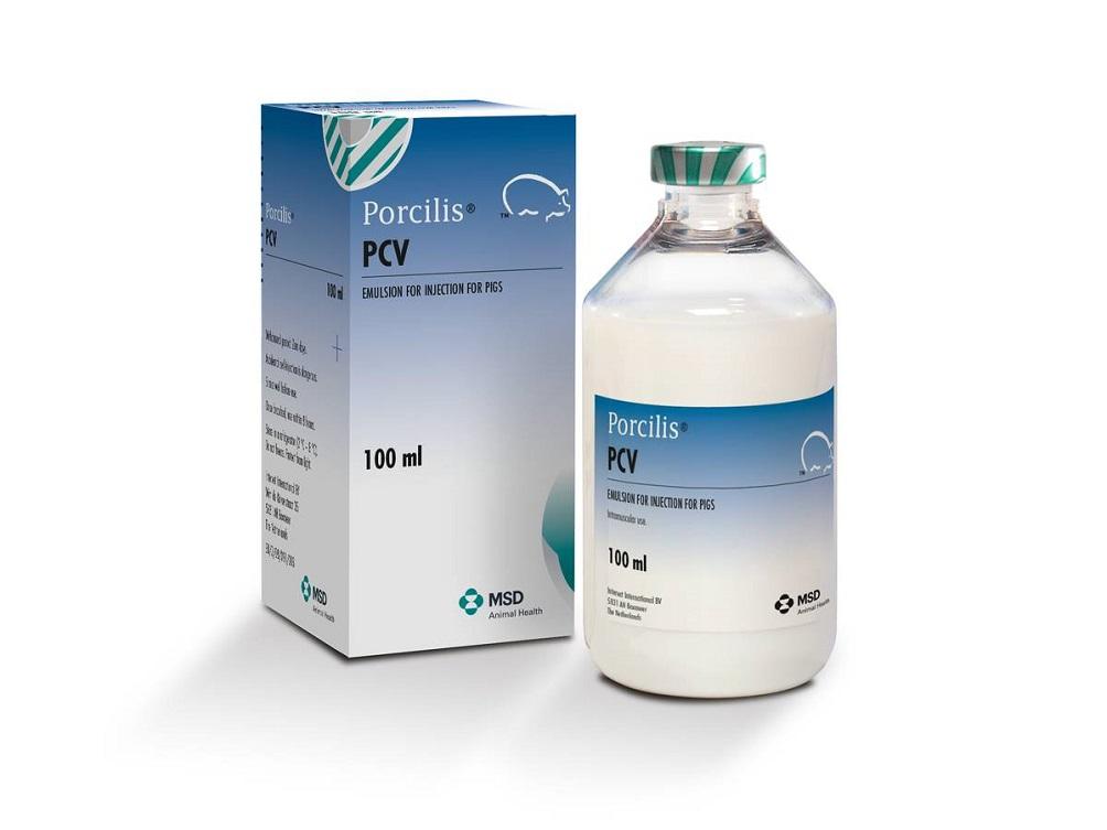 Porcilis® PCV Emulsion for injection for pigs | MSD Animal Health HUB