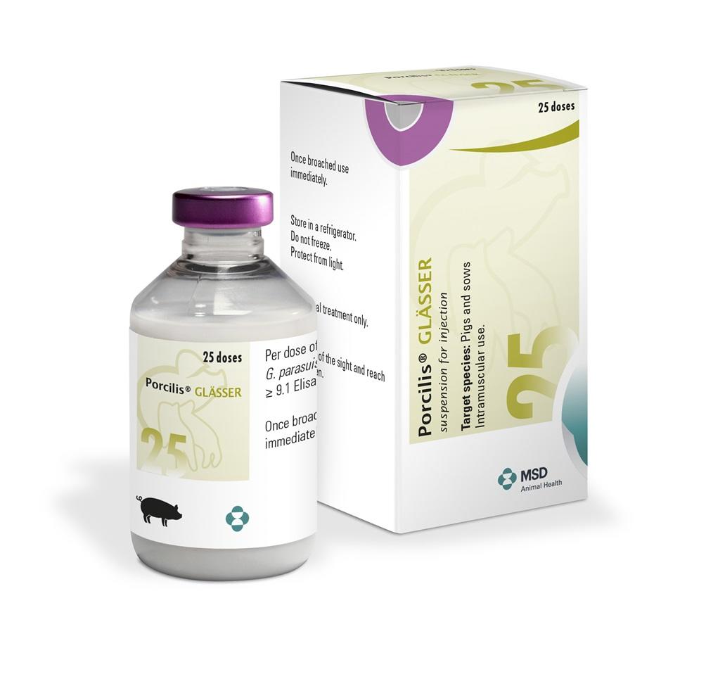 Porcilis® Glässer Suspension for injection for pigs | MSD Animal Health HUB