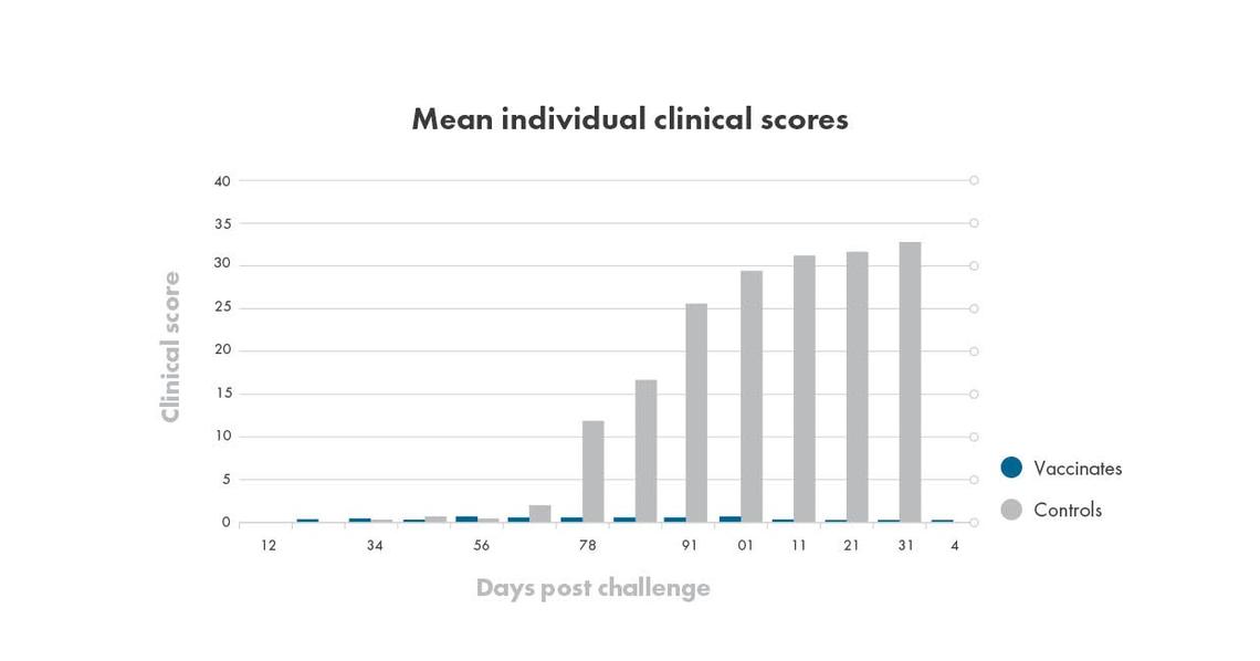 A unique vectored vaccine | MSD Animal Health HUB