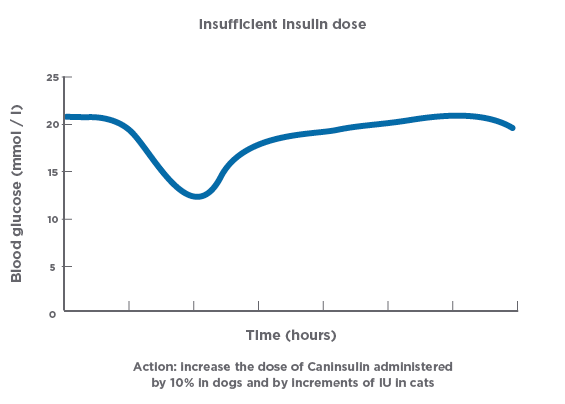Diabetes in Dogs: Monitoring and Controlling