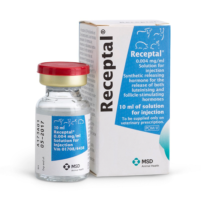 Receptal® 0.004 mg/ml Solution for Injection | MSD Animal Health HUB
