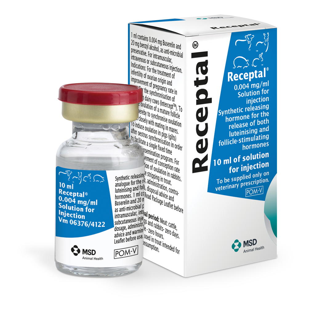 Receptal® 0.004 mg/ml Solution for Injection | MSD Animal Health HUB