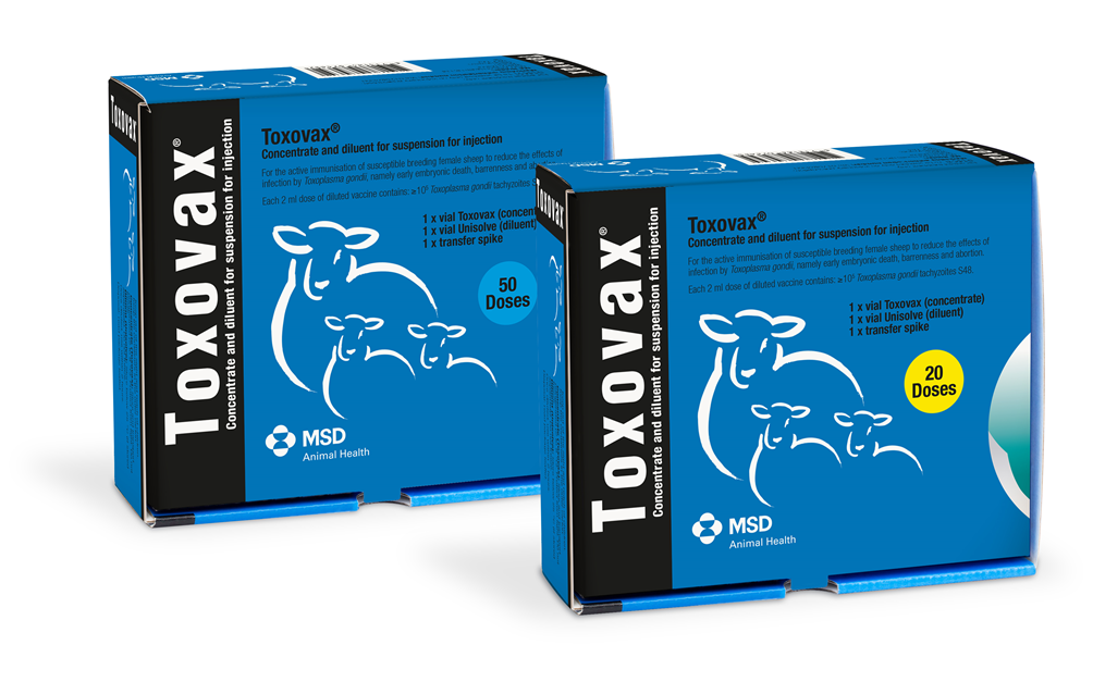 Toxovax® | MSD Animal Health HUB