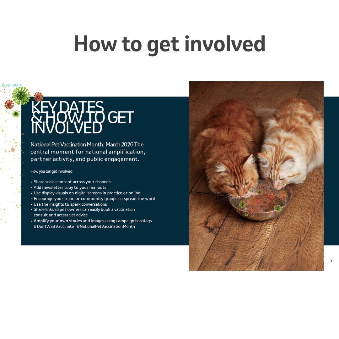 National Pet Vaccination Month 2026 | MSD Animal Health HUB