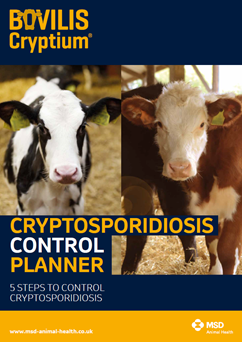 Calf Scour Causes, Costs and Prevention | MSD Animal Health HUB