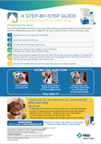 Diabetes in Dogs: Dosing Overview