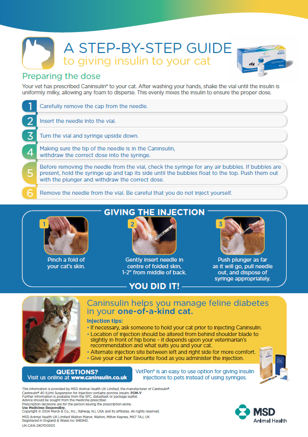 Diabetes in Cats: Dosing and Administration in Cats