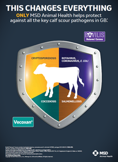 MSD Animal Health Enteric Programme | MSD Animal Health HUB