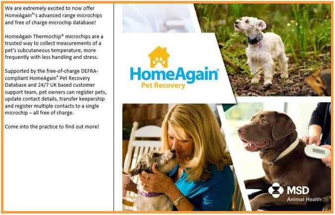 Social Media Posts | MSD Animal Health HUB