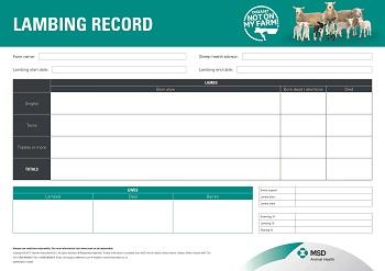Flock Health Checklist - Monitoring Flock Performance | MSD Animal ...