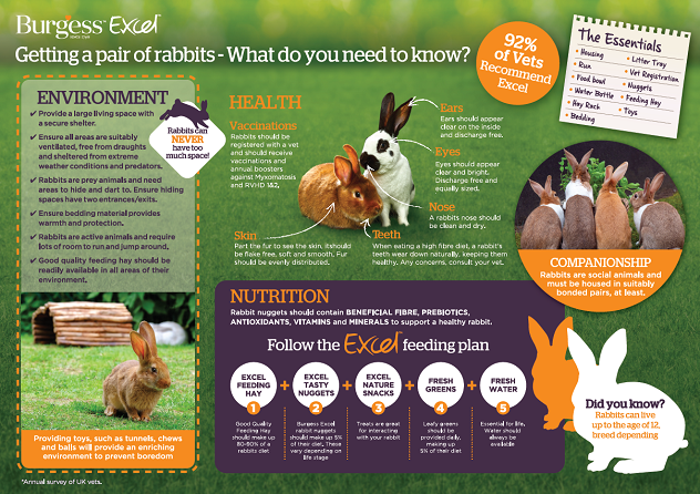 Client Support - Nutrition | MSD Animal Health HUB