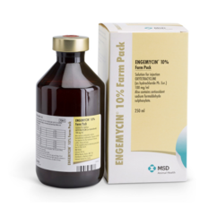 MSD Animal Health Hub: Engemycin® 10 % Farm Pack Solution for injection