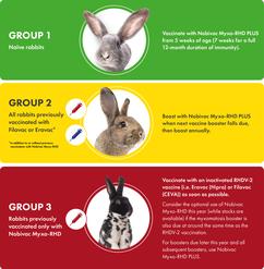 MSD Animal Health Hub: Nobivac® Myxo-RHD PLUS Q & A