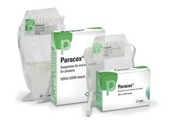 Paracox-8® Suspension for Oral Suspension for Chickens | MSD Animal ...